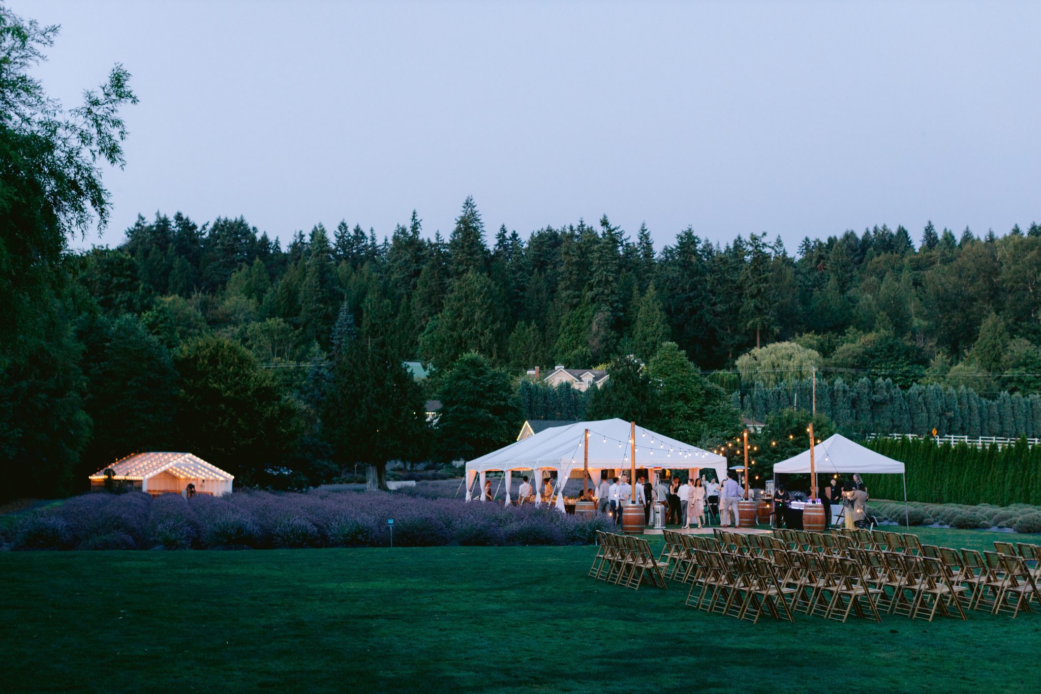 Parties - Alexander Party Rentals