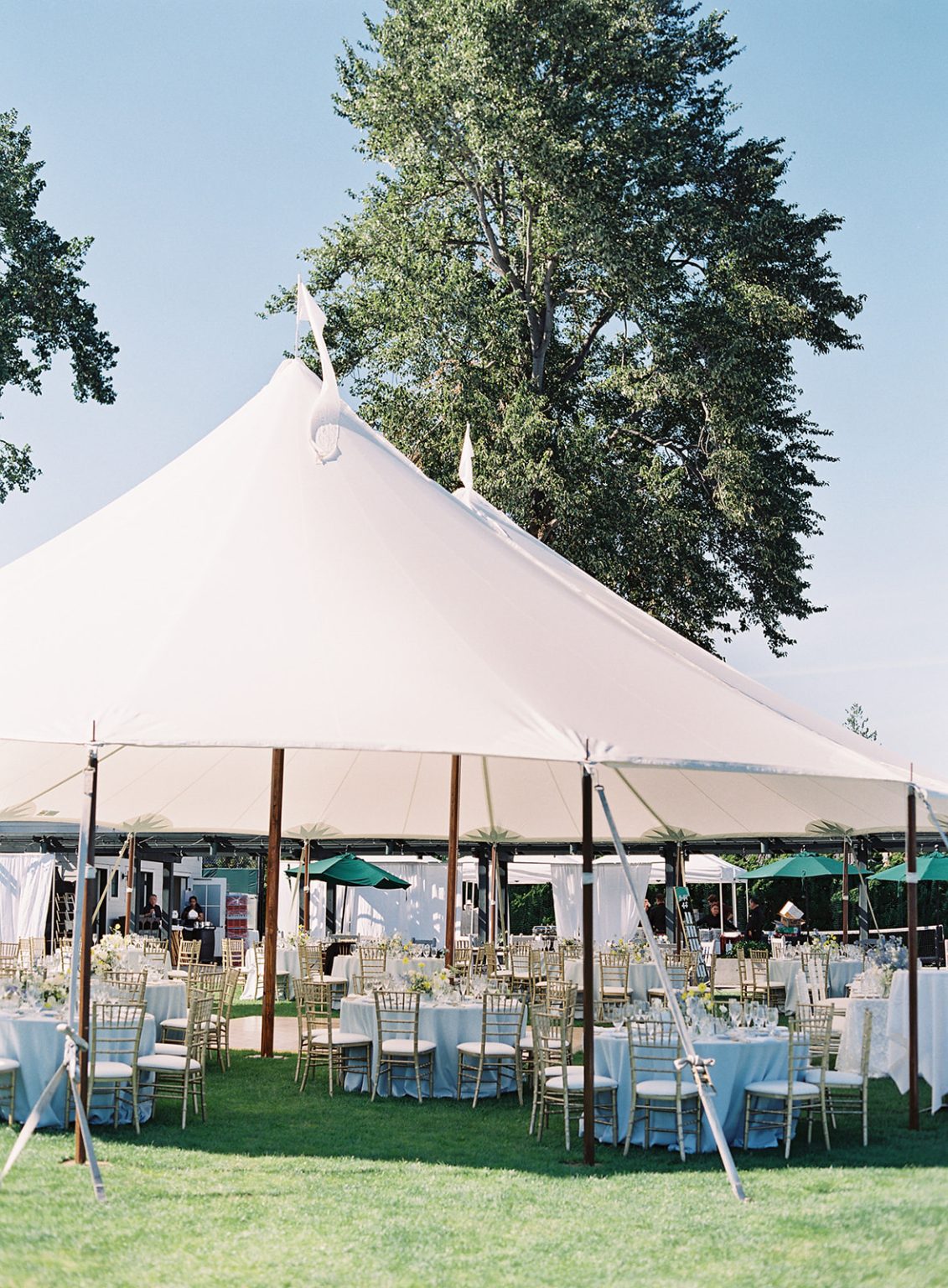 Parties - Alexander Party Rentals