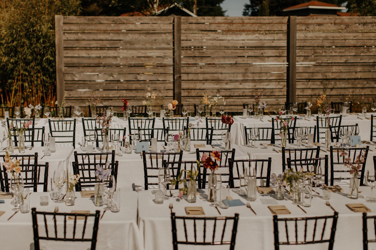 Parties - Alexander Party Rentals